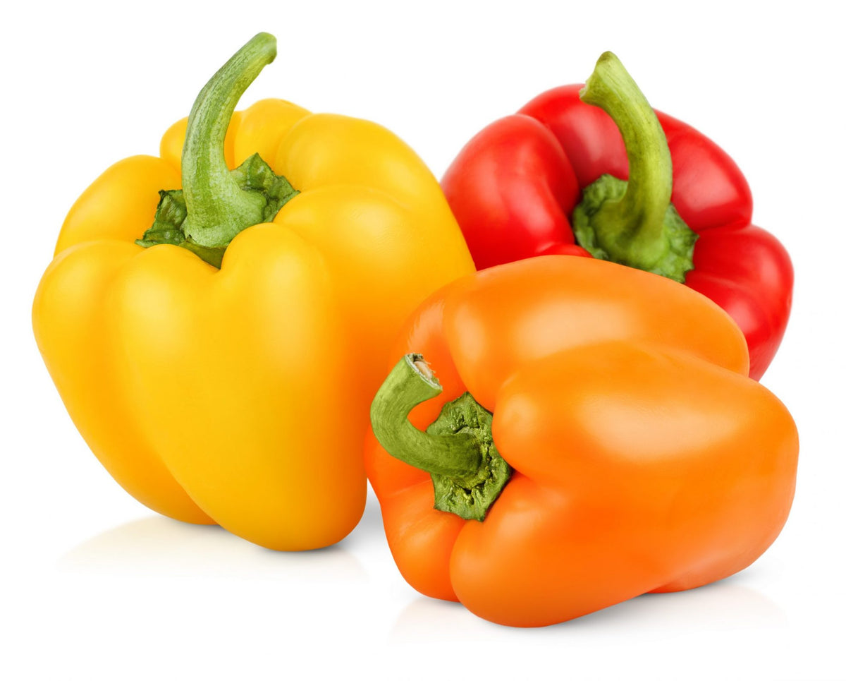 Colorful Bell Pepper (Simla Mirch) collection – Seeds of India