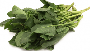 Chukka kura – Seeds of India